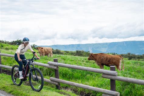 Aso Kuju Cycle Fields