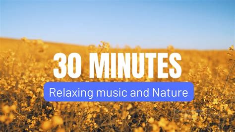 30 Minutes Relaxing Music And Nature Video Youtube