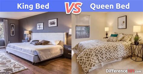 King Queen Bed Difference Dimensions Pros And Cons Difference 101 Atelier Yuwaciaojp