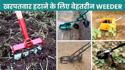 Manual Weeders At Matthew Elmore Blog