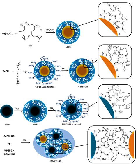 Schematic Representation Of Nanoparticles Synthesis Download Scientific Diagram