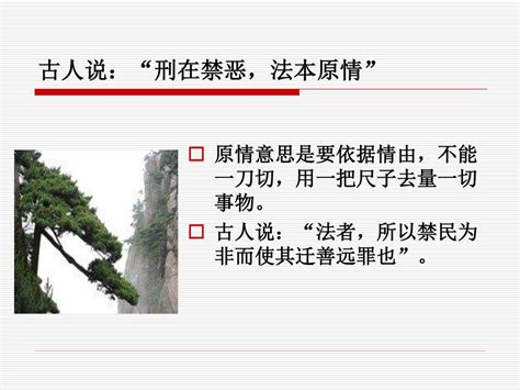 加快推进社会主义 法治国家建设的根本指南 学习习近平总书记关于法治建设的重要论述 ppt download