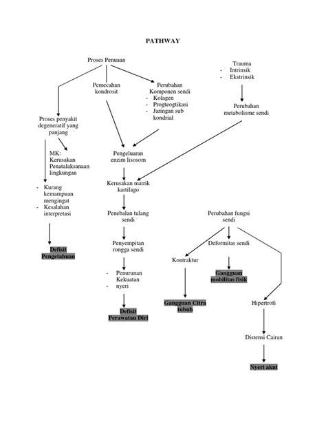 Pathway Oa Genu Pdf