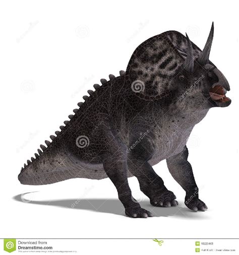 Zuniceratops Pictures And Facts The Dinosaur Database