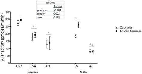 Sex Dependent And Race Dependent Association Of Xpnpep2 C 2399a