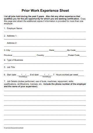 FREE Work Experience Sheet Samples To Download