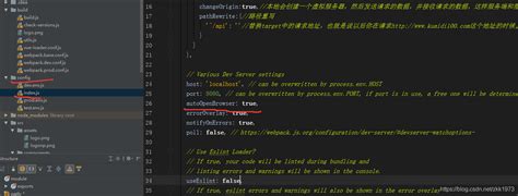 vue 启动成功自动进入首页设置（autoopenbrowser） csdn博客