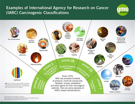 IARC Classification Carcinogen Examples Infographic GMO Answers