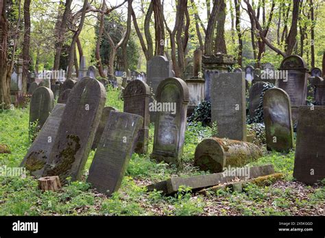 Jewish Cemetery On Okopowa Street Largest Jewish Cemetery In The World