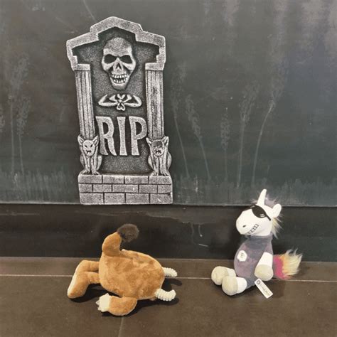 Easylife 365 Easylife 365 Around The World