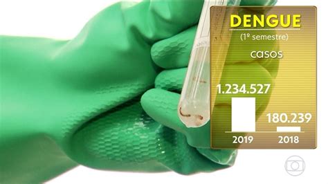 Número de casos de dengue aumenta quase no primeiro semestre do ano