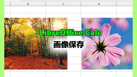 Libreoffice Calc 究極の貼り付け Opty Lifeオプティライフ