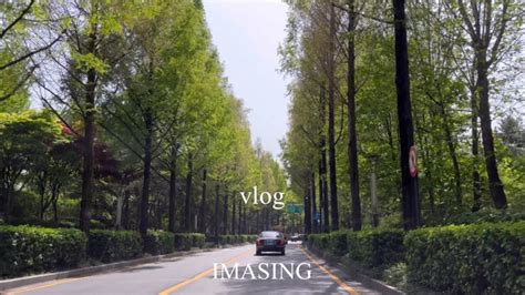 Vlog 평화로운 결혼준비 브이로그 제주방문 Youtube