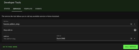 Stop DuckDNS Without Supervisor Access Home Assistant OS Home