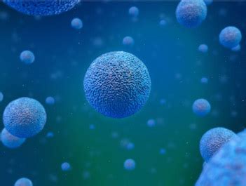 Cellular Inflammation