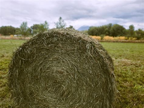 Conservation And Affordable Housing Fertile Edge Community Land Trust