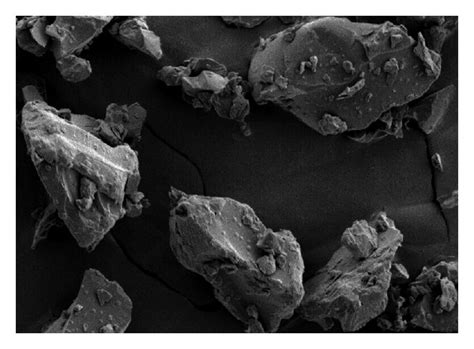 Particle Morphology Of The Prepared α Tcp Powders A α Tcp0 B