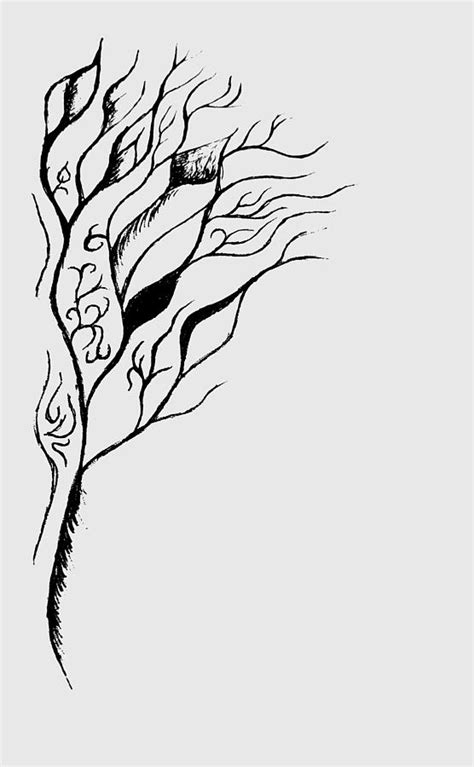 Small Tree Drawing By Trinity Bass Fine Art America