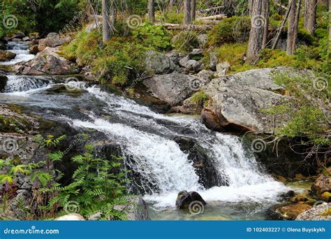 Waterfalls Of Studeny Potok In High Tatras Slovakia Stock Image