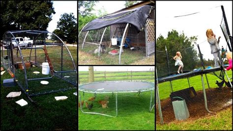 Diy Trampoline Chicken House