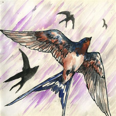 Swallow Drawing At Explore Collection Of Swallow