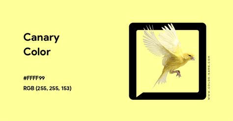 Canary Color Hex Code Is Ffff99