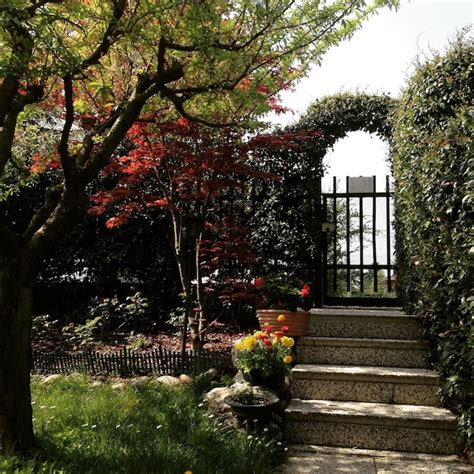 Premium Photo Steps By Gate In Garden