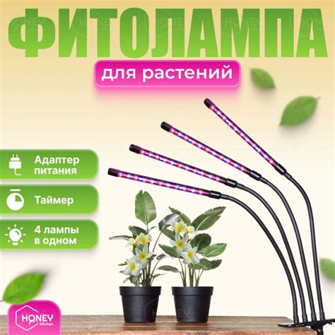 Фитолампа для растений рассады 4 светильника полный спектр Honey Kitchen купить на Ozon по