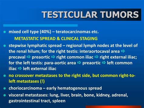Ppt Testicular Tumors And Disorders Of External Genitalia Powerpoint