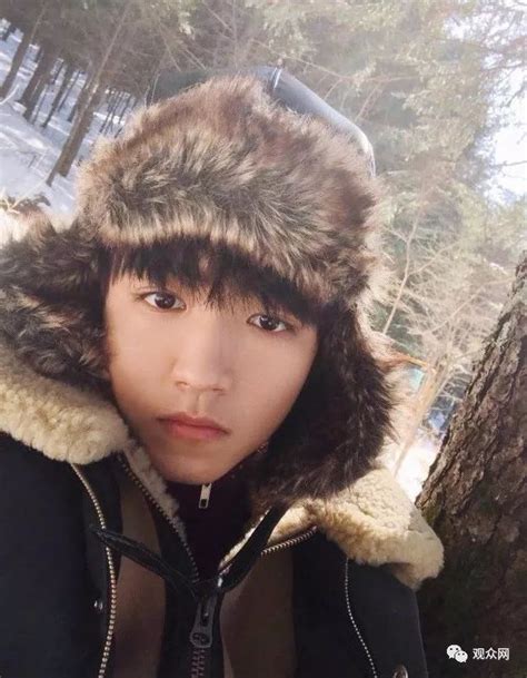 王俊凯地中海头型图片王俊凯图片头型造型大山谷图库
