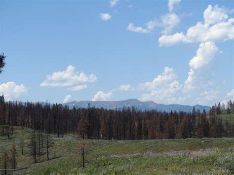 Fisherman Creek Rd Bondurant Wy 82922 Trulia