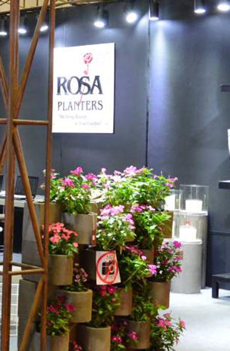 Rosa Planters Vietnam Co Ltd