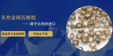 天然金刚石 金刚笔 金属笔 砂轮成型刀 金刚石砂轮刀 常州耐尔锐金刚石工具有限公司