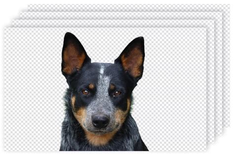 Background Remover Free Remove Background From Image Online AVCLabs