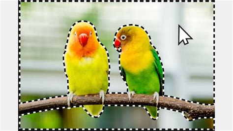 Adobe выпустила новые ИИ инструменты для Photoshop и Premiere Skillbox Media