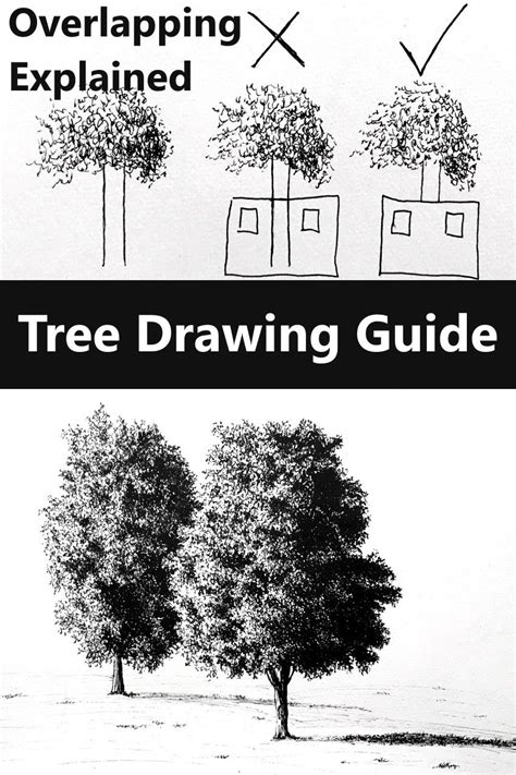 Guide Drawing Trees Tree Drawing Tree Drawings Pencil Realistic Drawings