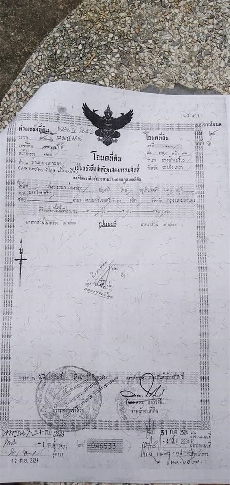 ขายด่วน ที่ดินคลอง 21 อำเภอบางน้ำเปรี้ยว จังหวัดฉะเชิงเทรา Ennxo