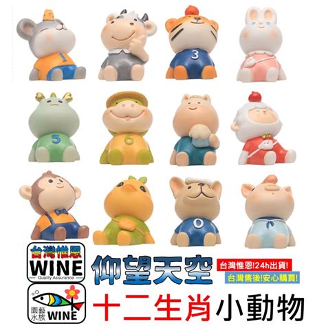 WINE台灣惟恩 微景觀 仰望天空 十二生肖 12生肖 多肉 鼠 牛 虎 兔 龍 蛇 馬 羊 猴 雞 狗 豬 生肖 蝦皮購物
