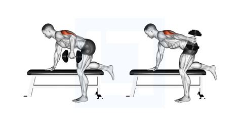 Dumbbell Kickback Guide Benefits And Form
