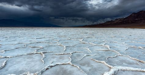 Understanding The SARS Appeal Procedure With Caveat Legal