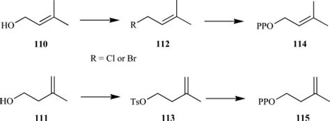 Davisson S Synthesis Of Both Ipp And Dmapp Download Scientific Diagram