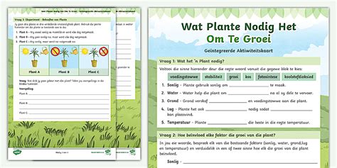 Wat Plante Nodig Het Om Te Groei Gedifferensieerde Werkkaart