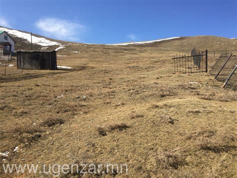 Шарга морьт нэг айлын зуслангийн газар зарна