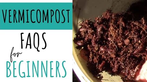Vermicomposting Worm Compost For Beginners Thumbnail Embracing Harvest