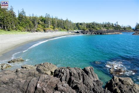 Pacific Rim National Park Reserve Regenwald Und Long Beach