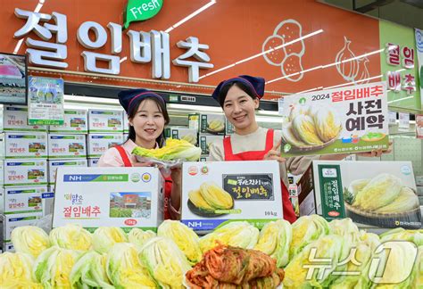 농협유통 절임배추로 김장김치 편하게 뉴스1