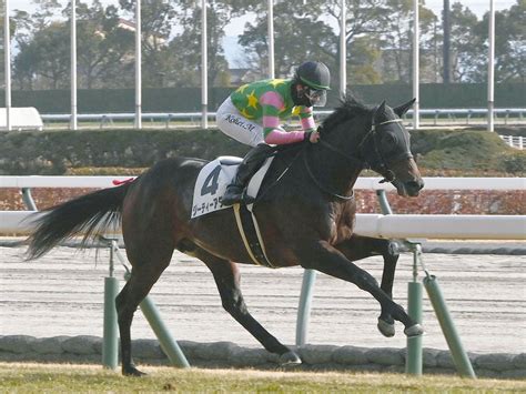 【中京5r・新馬戦】ジーティーアダマン、逃げ切り勝利 松山「これからまだまだ良くなる」成長に期待