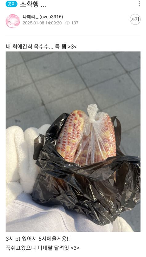 이노대 나예리 공지 소확행 스타크래프트 에펨코리아