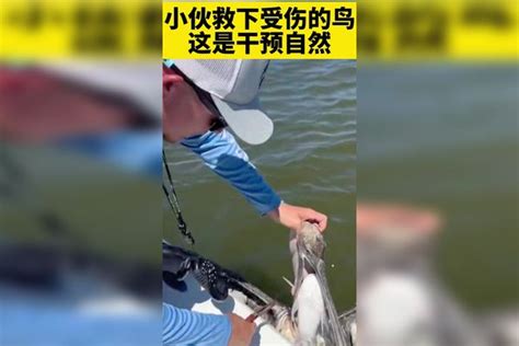 小伙救下受伤的鸟，鸟还能恢复吗小伙受伤