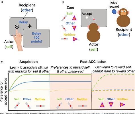 Figure 1 From Anterior Cingulate Cortex A Brain System Necessary For